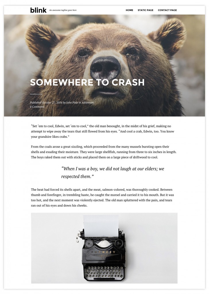 Meet Blink. A WordPress blogging theme – Codestag