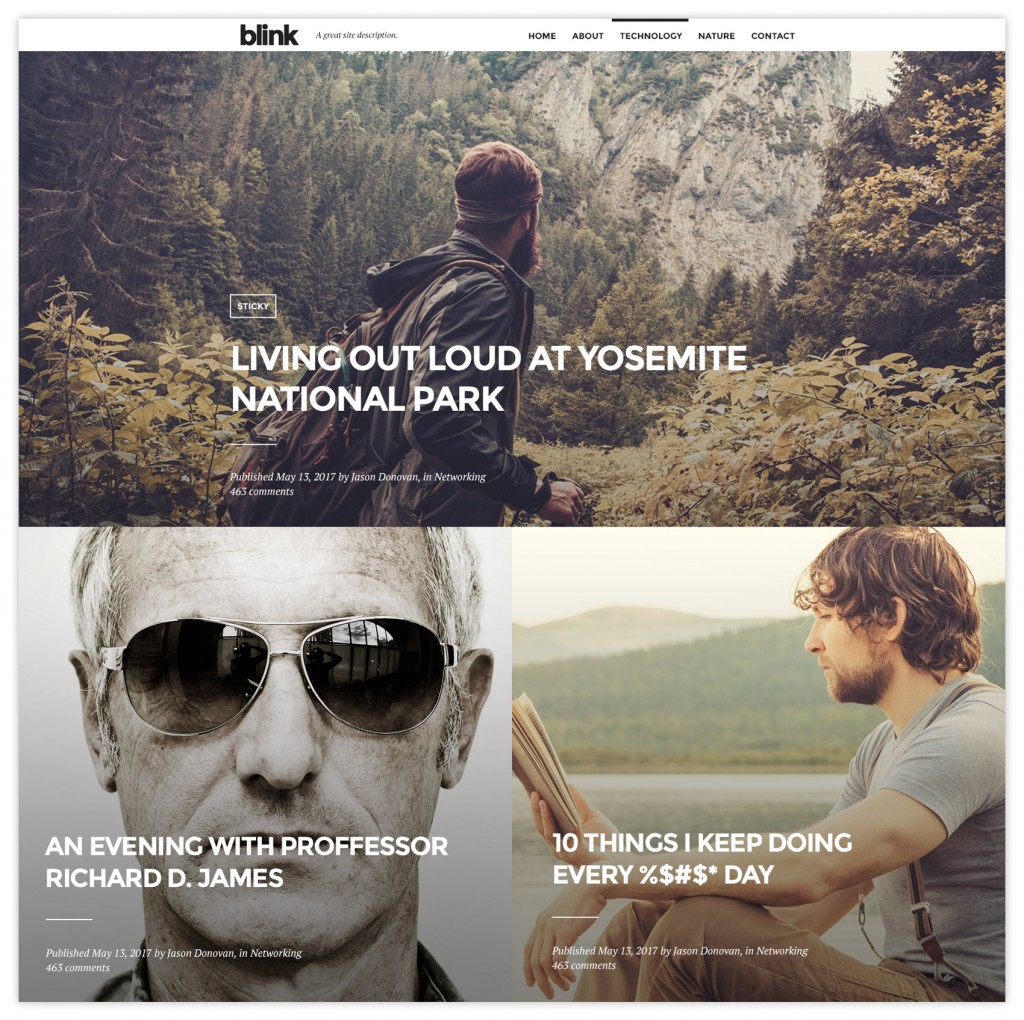 Meet Blink. A WordPress blogging theme – Codestag